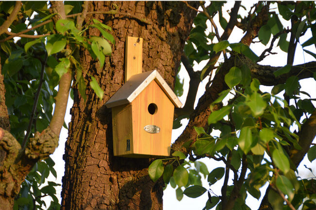 Vogelhuisje ophangen? Zo moet het! | Vogelhuisjes.nl