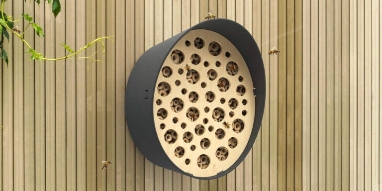 7 fascinerende feiten over solitaire bijen | Vogelhuisjes.nl