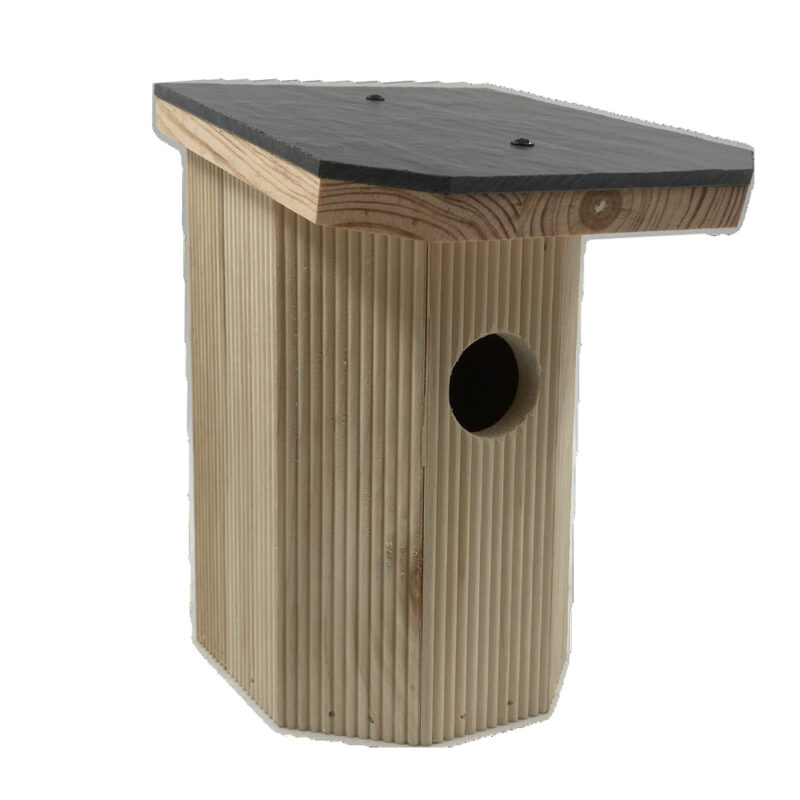 Zwaluwnest kopen? (TIP! ) | Dé specialist in Vogelhuisjes